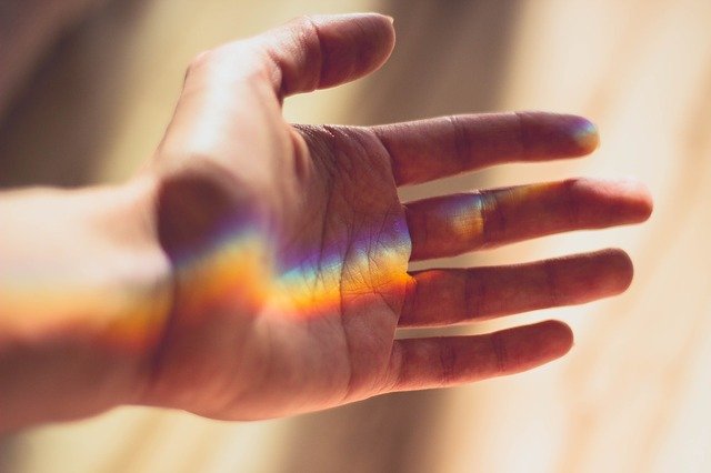 How to differentiate the Region of the Palm? – Palmist's blog