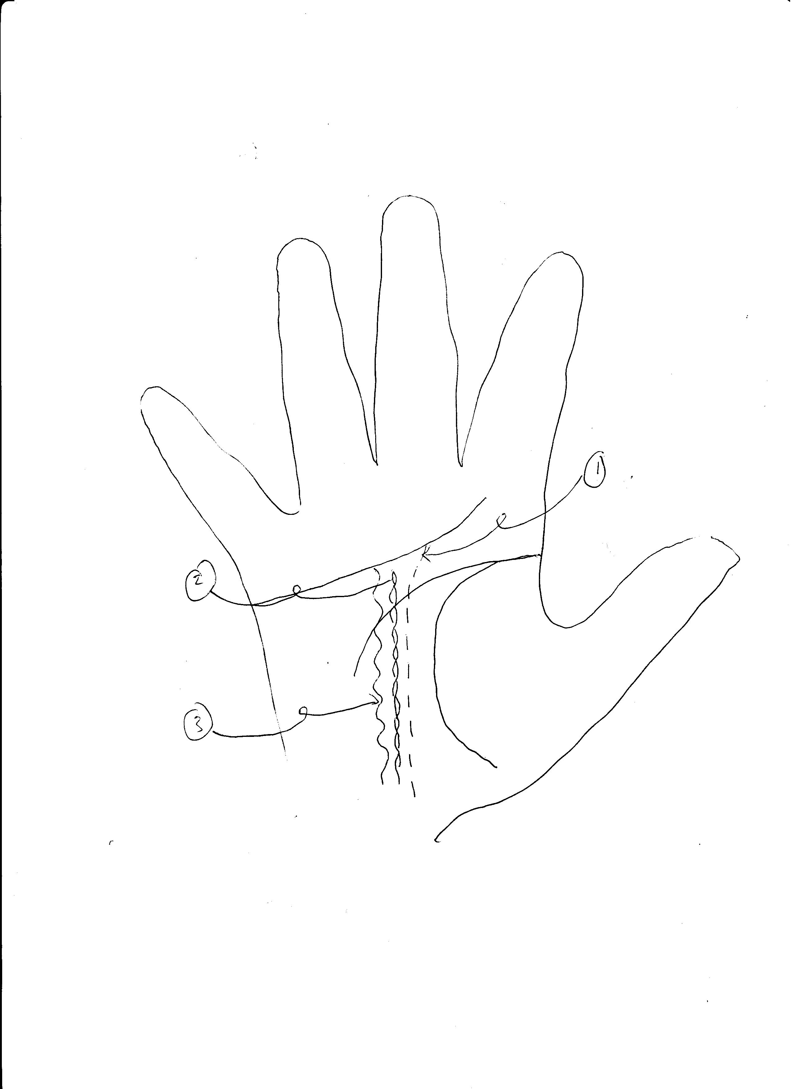 Messy Fate Line represents Challenging Life – Palmist's blog