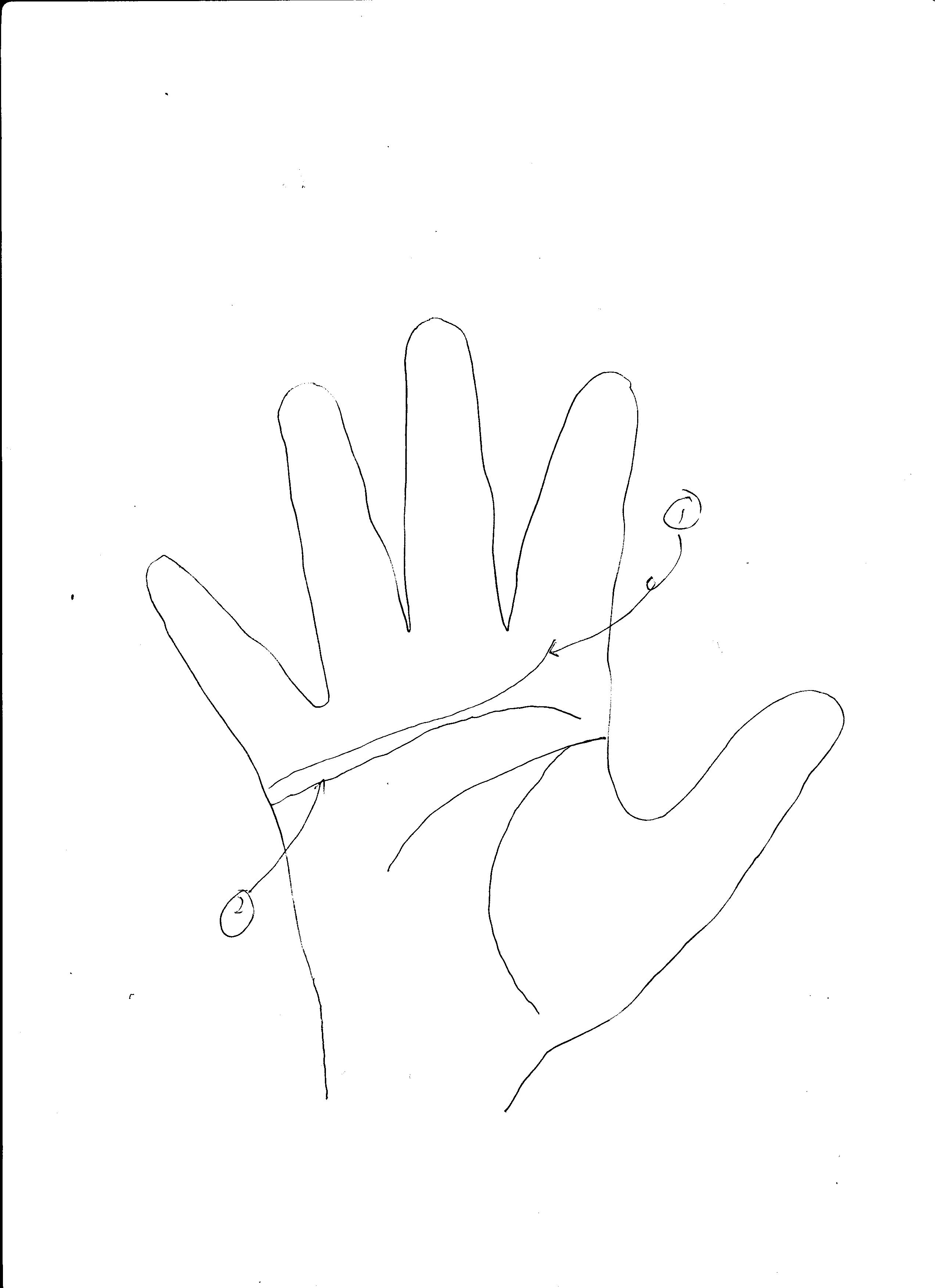 What is the Meaning of the Heart Line that bends upwards and downwards ...