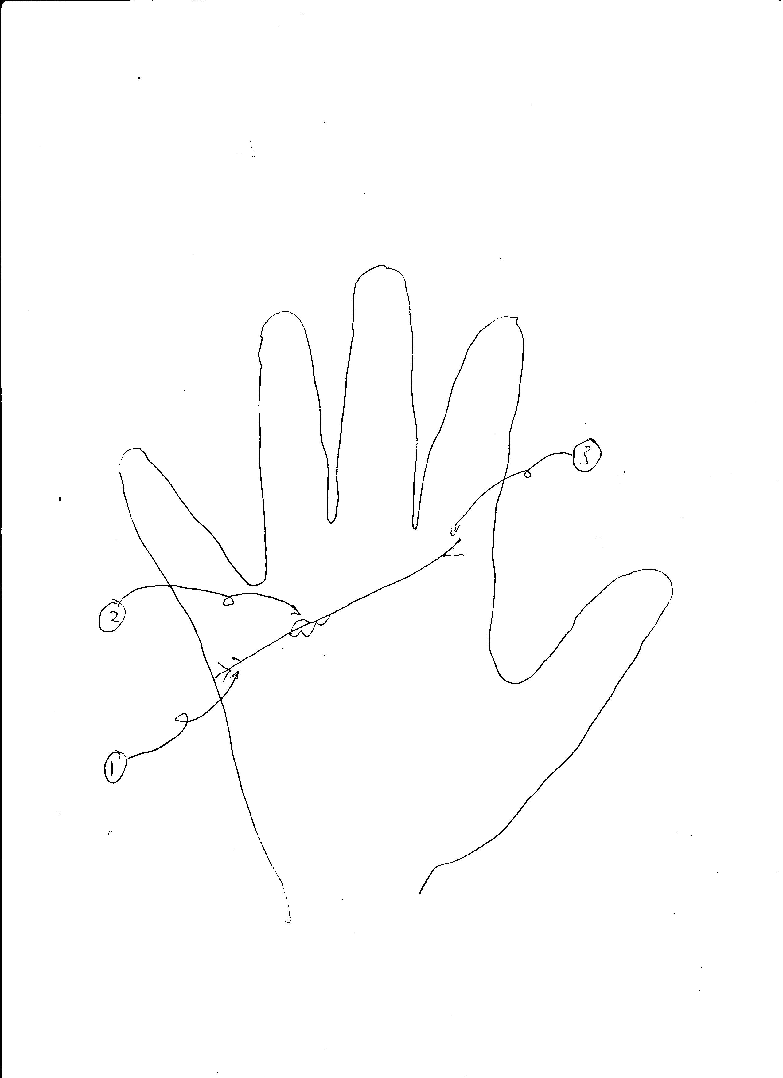 What does the Heart Line that can control Love Affairs look like ...