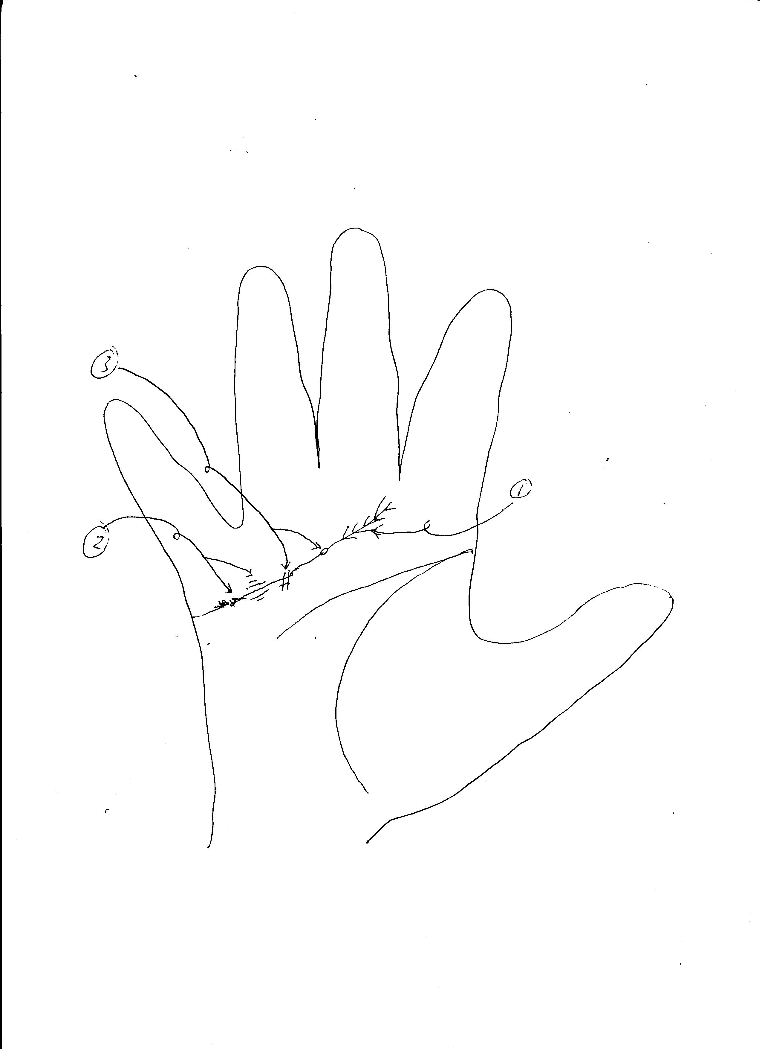 Take an Alert if Your Heart Line is extremely messy – Palmist's blog