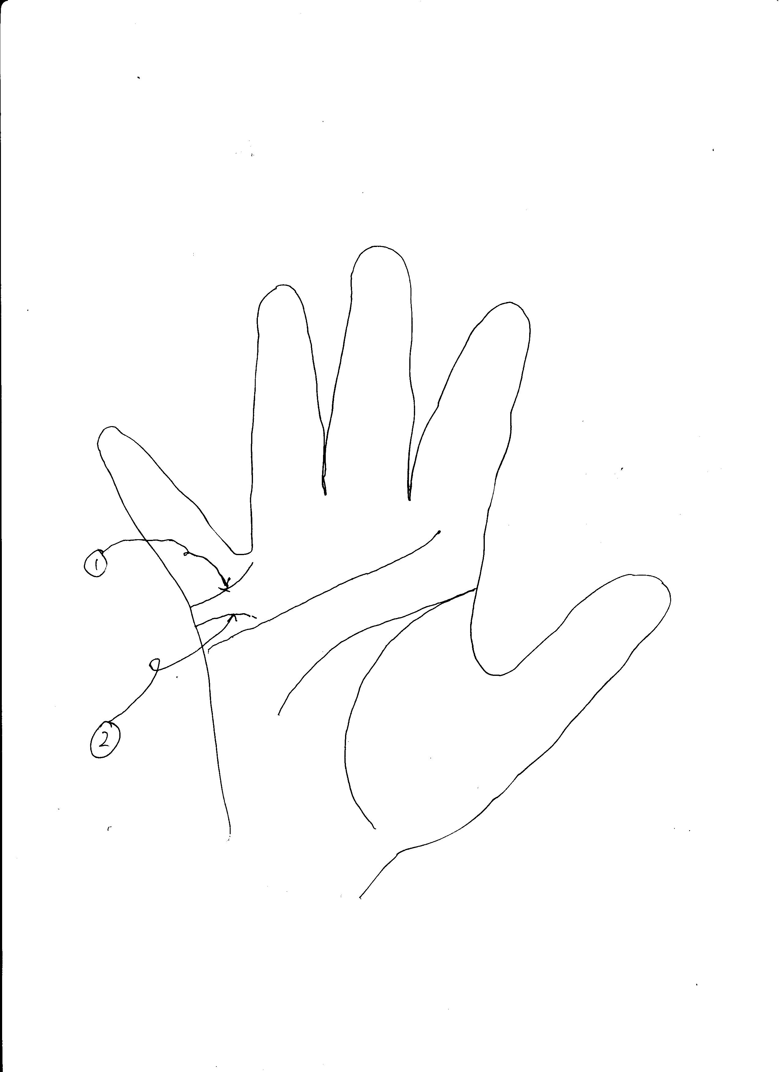 What is the Marriage Line that shows the Honesty of the Couple look ...