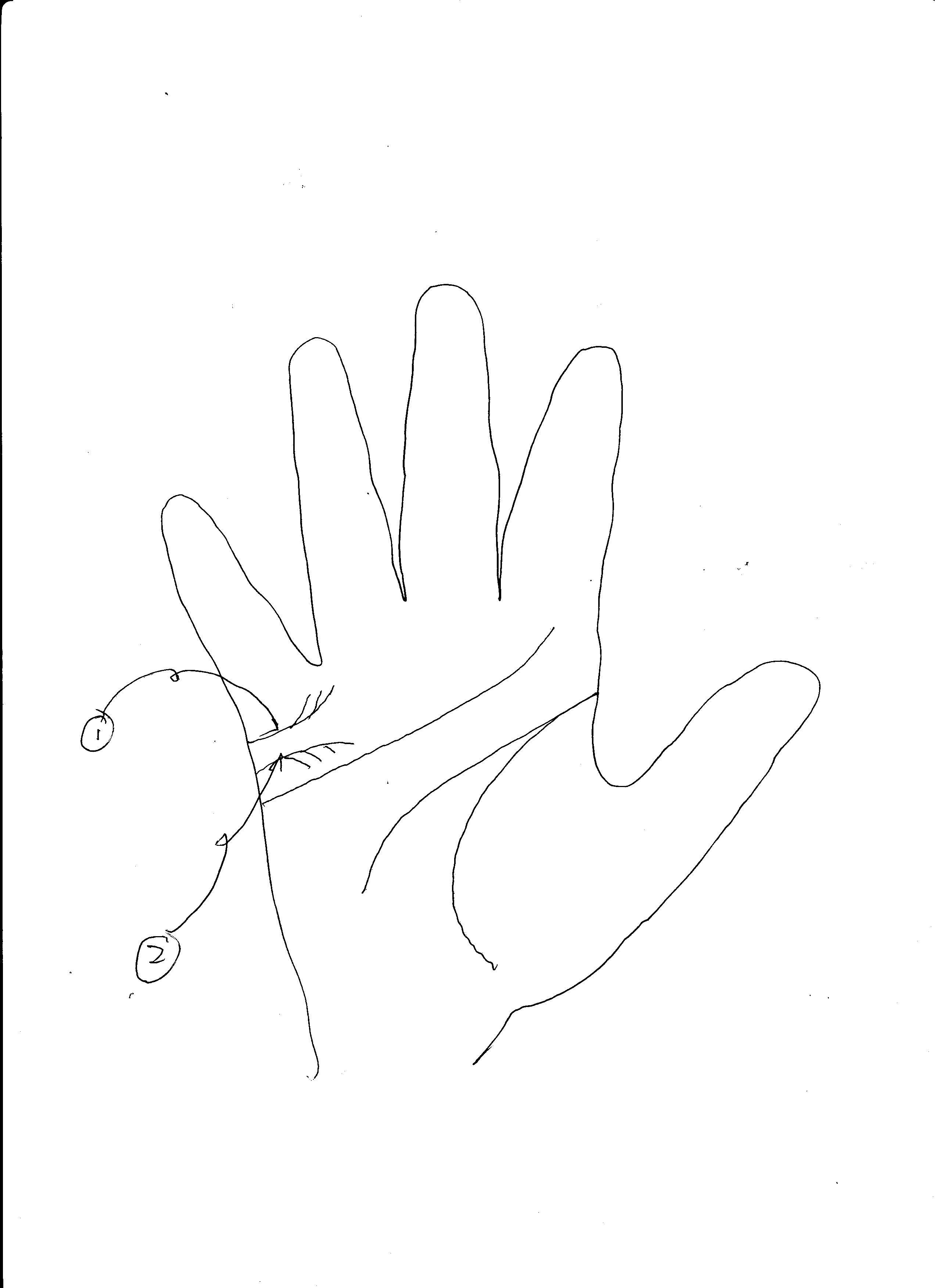 The Branch of the Marriage Line can decide Your Luck – Palmist's blog