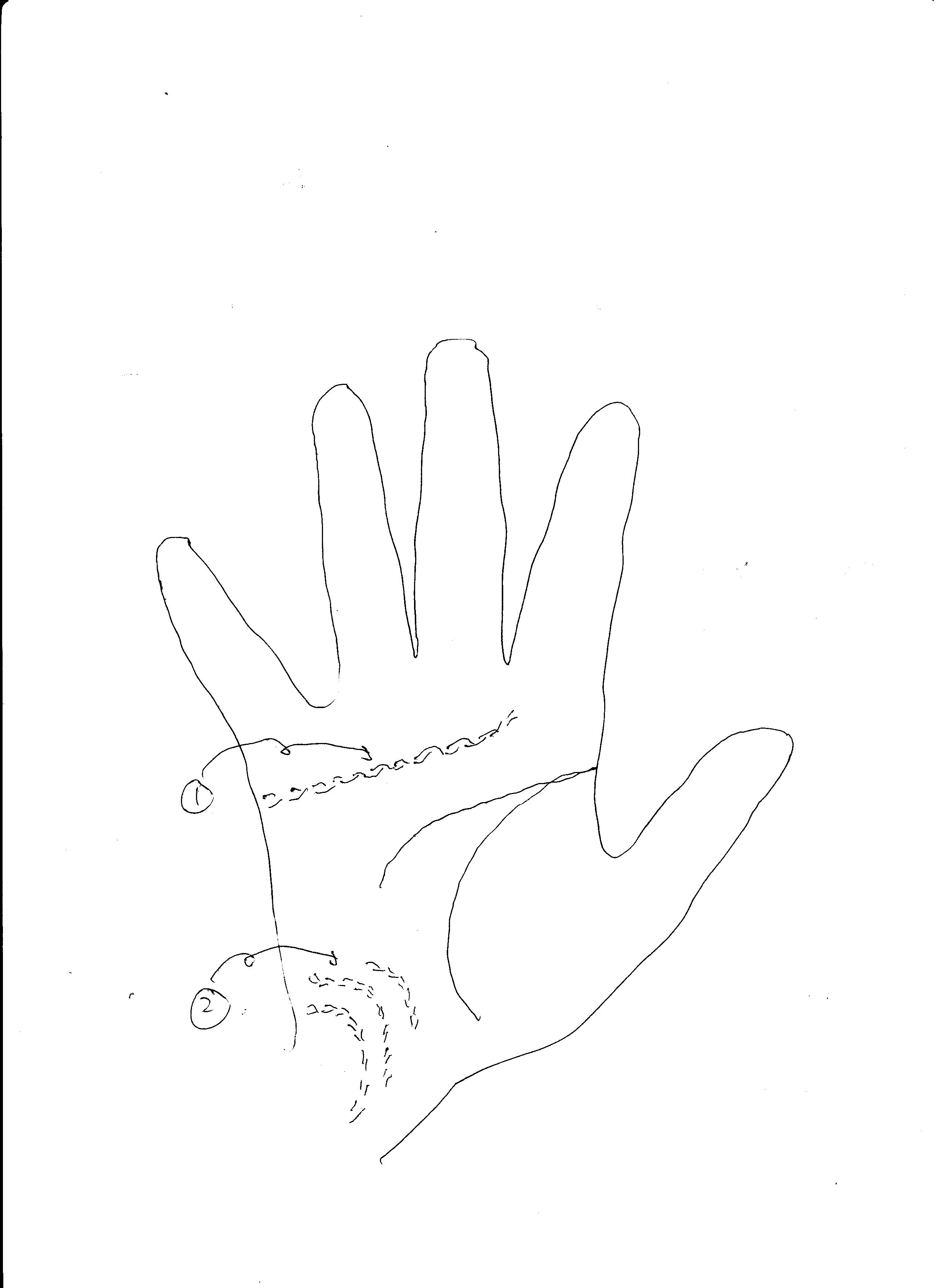 Tangled Lines represent the Abnormal Life – Palmist's blog