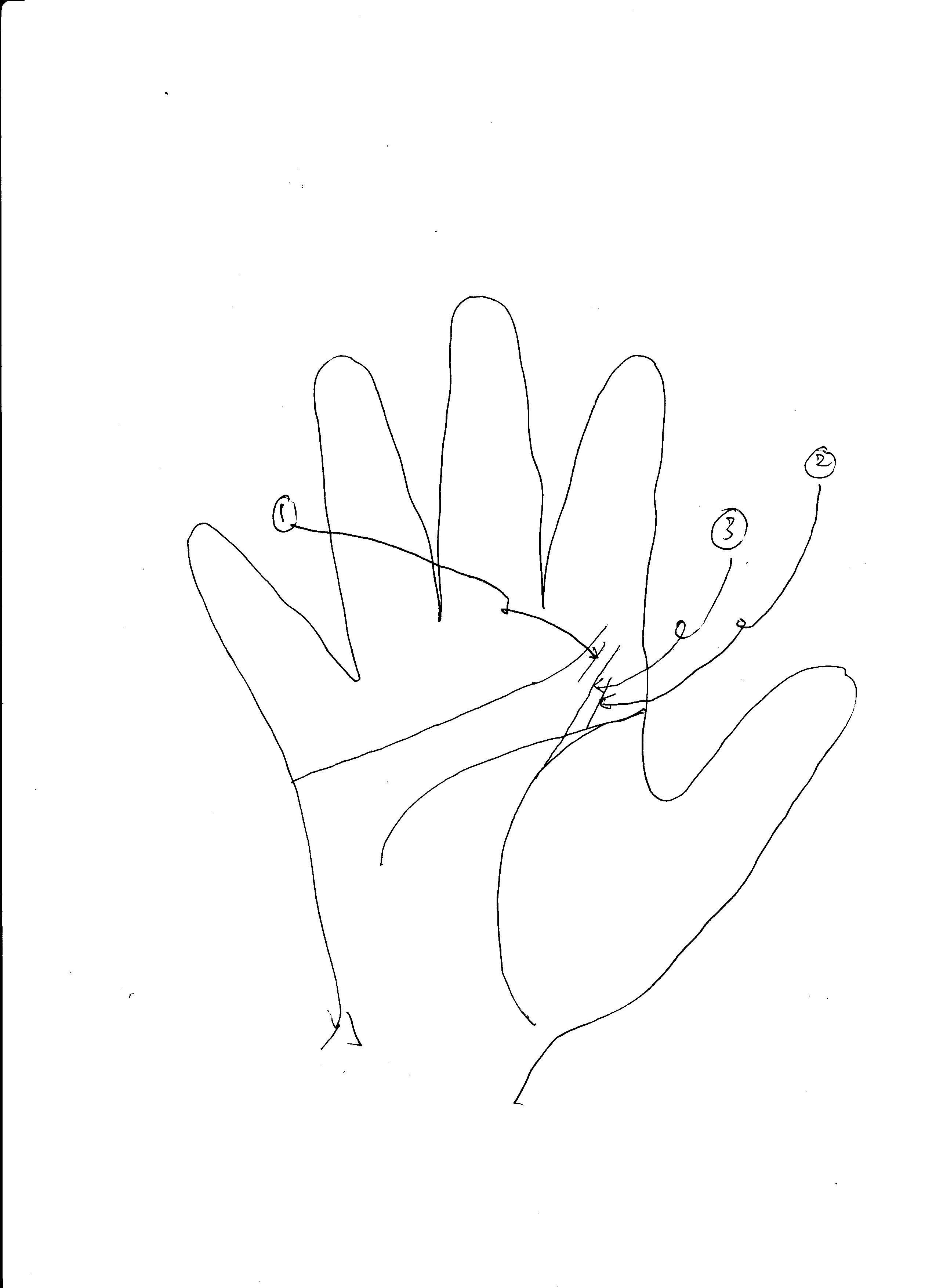 The Ambition Line that appears in the Jupiter Mount – Palmist's blog