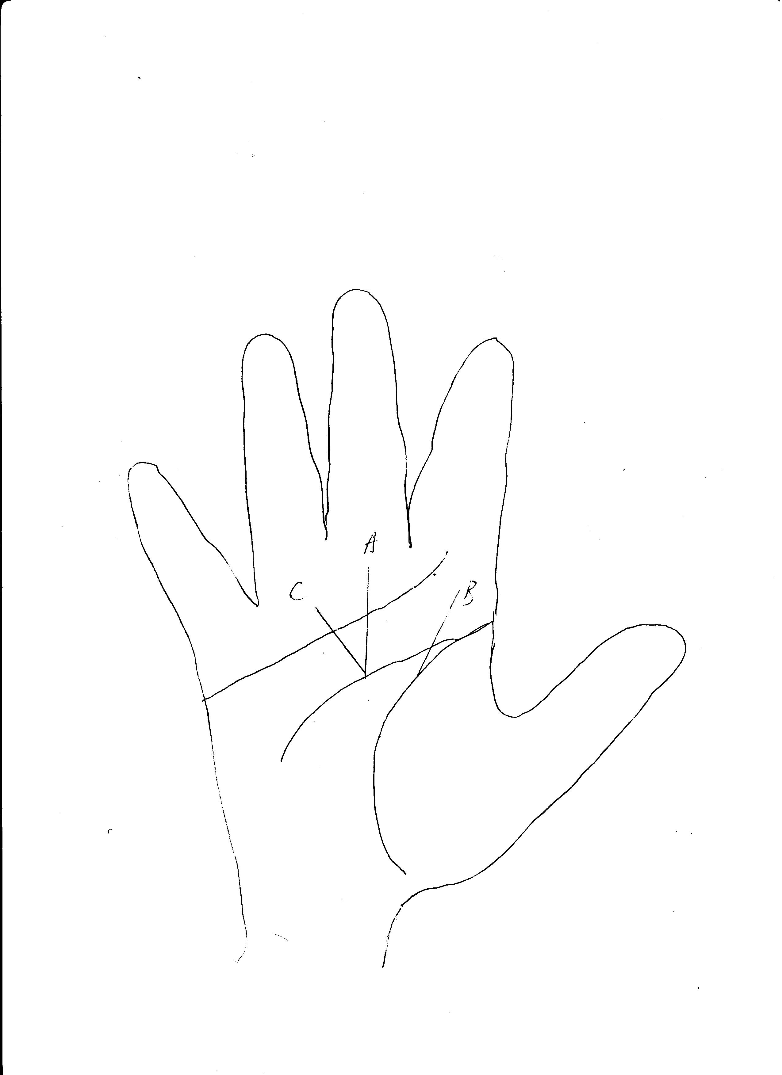 Palm Pattern that the Owner has Success after Mid-Age – Palmist's blog