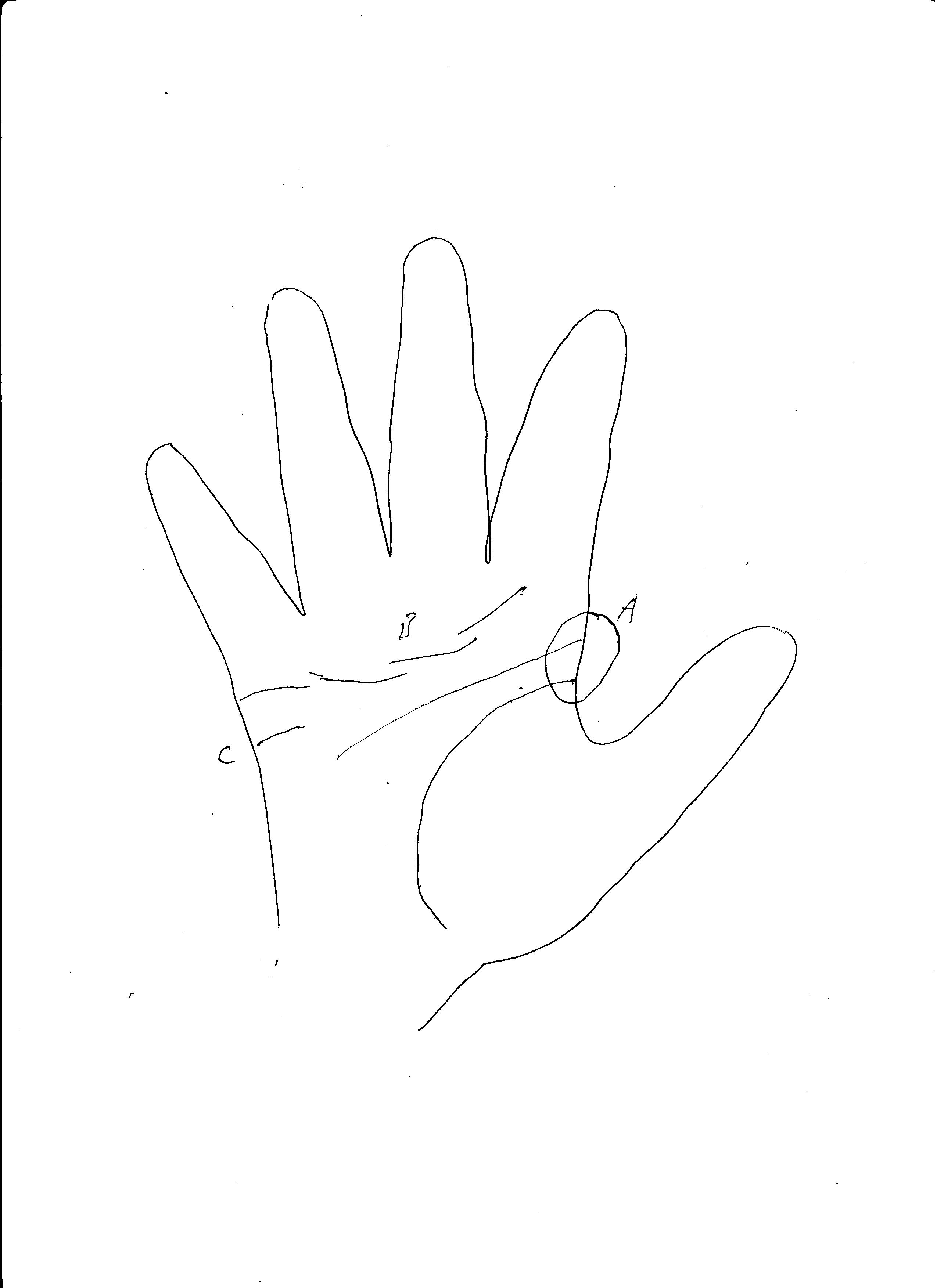 Palm Pattern that shows the Owner is Rebellious – Palmist's blog