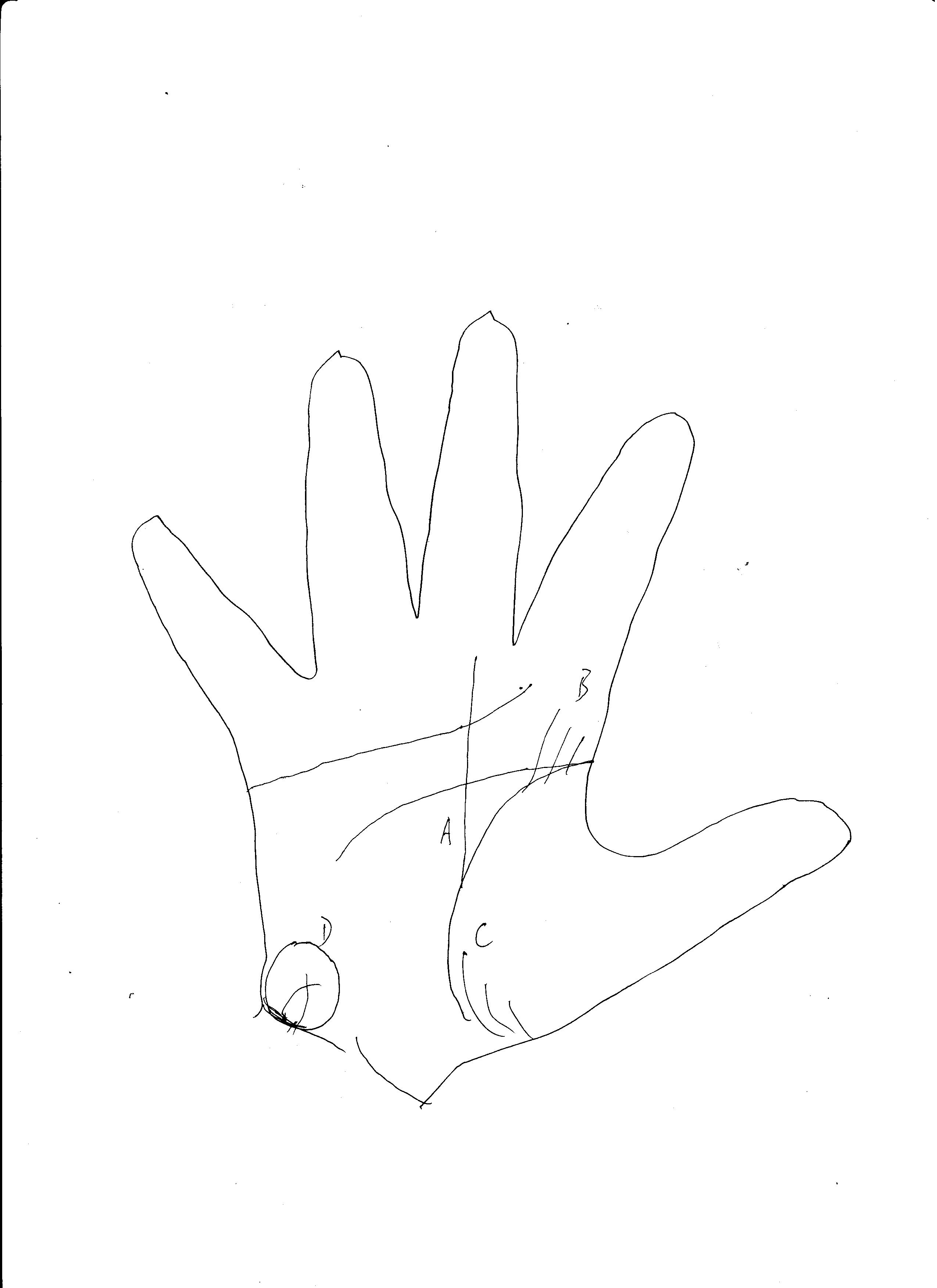 Palm Pattern shows that the Family Luck of the Owner is very good ...