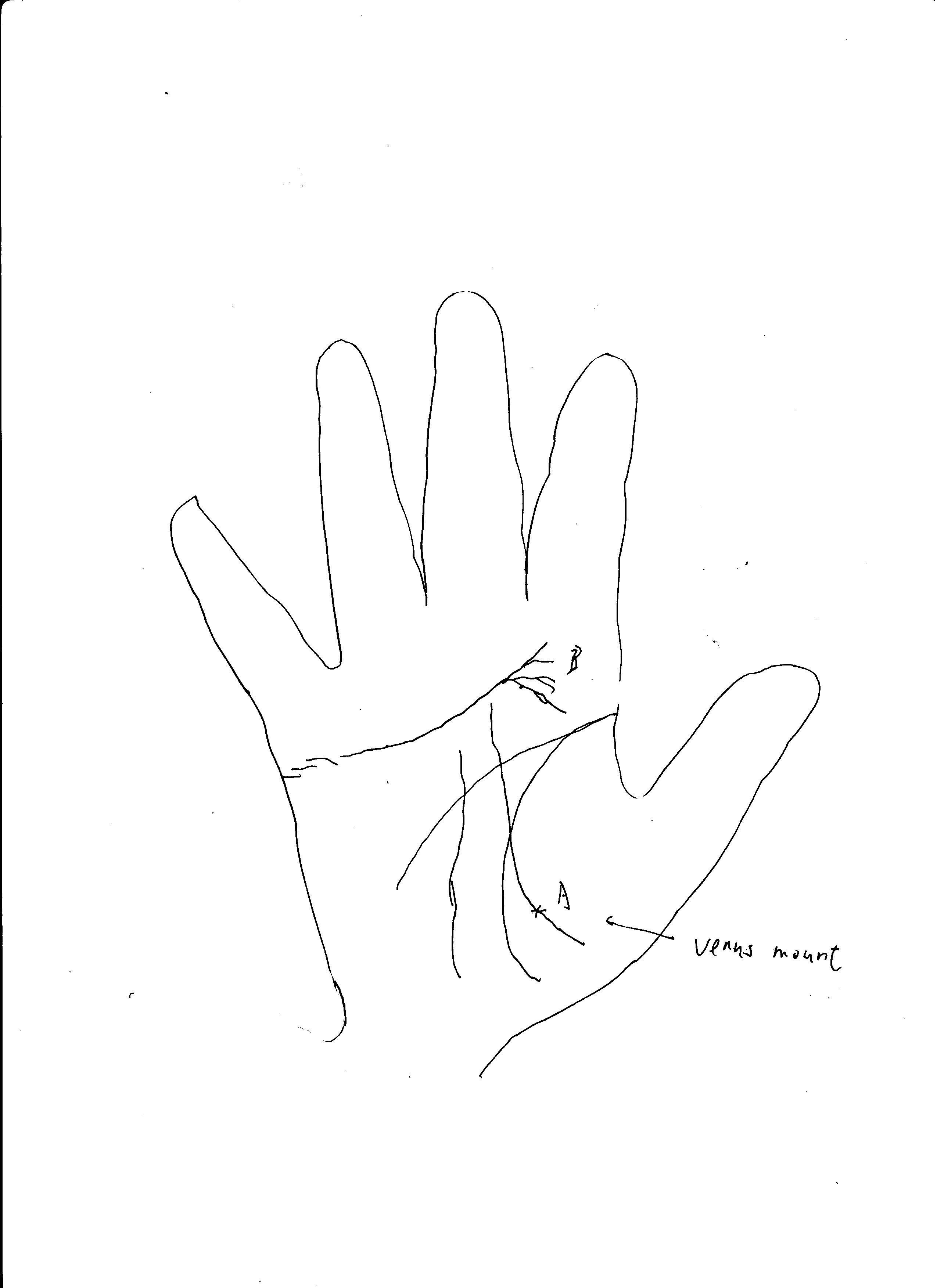 Palm Pattern that the Owners do not have keen Relationships with their ...