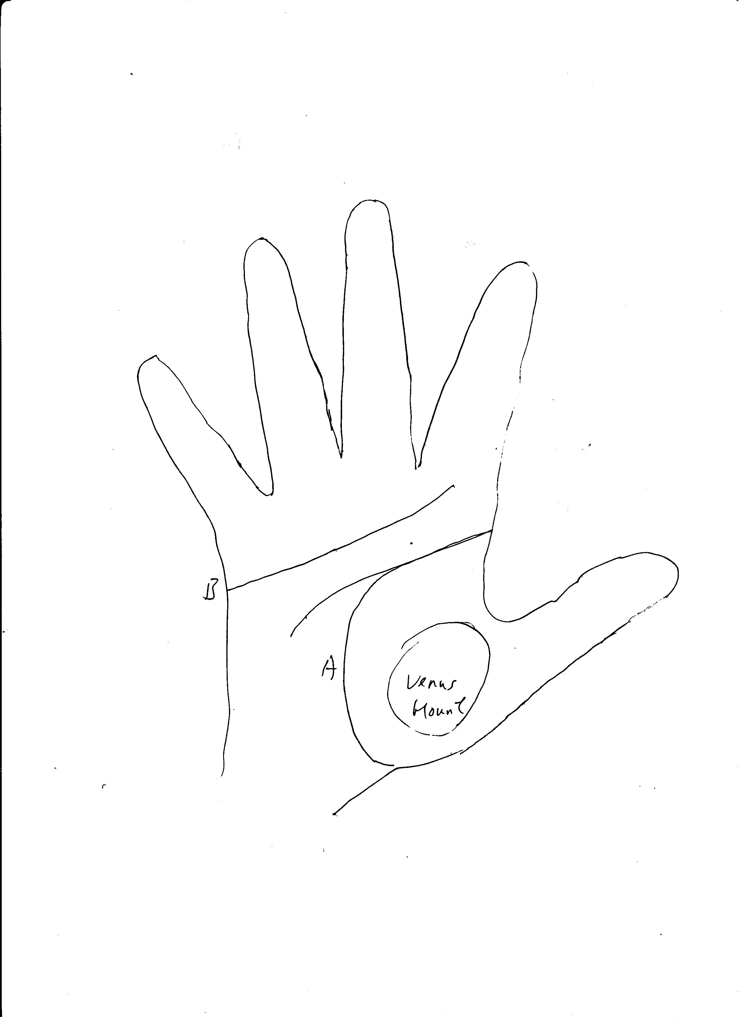 Palm Pattern that the Owner is Healthy – Palmist's blog