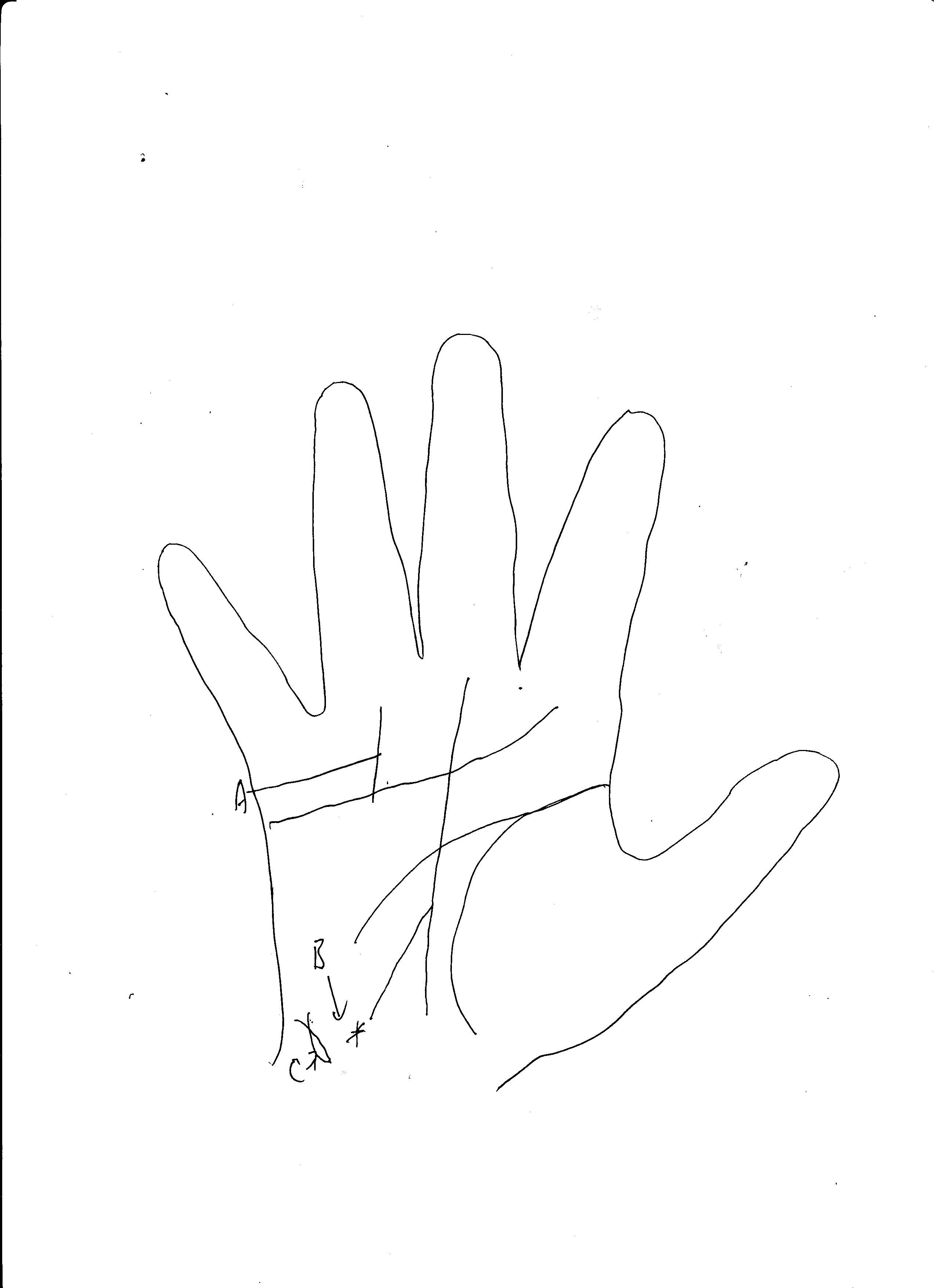 Palm Pattern that the Owner will have a Lucky Marriage – Palmist's blog