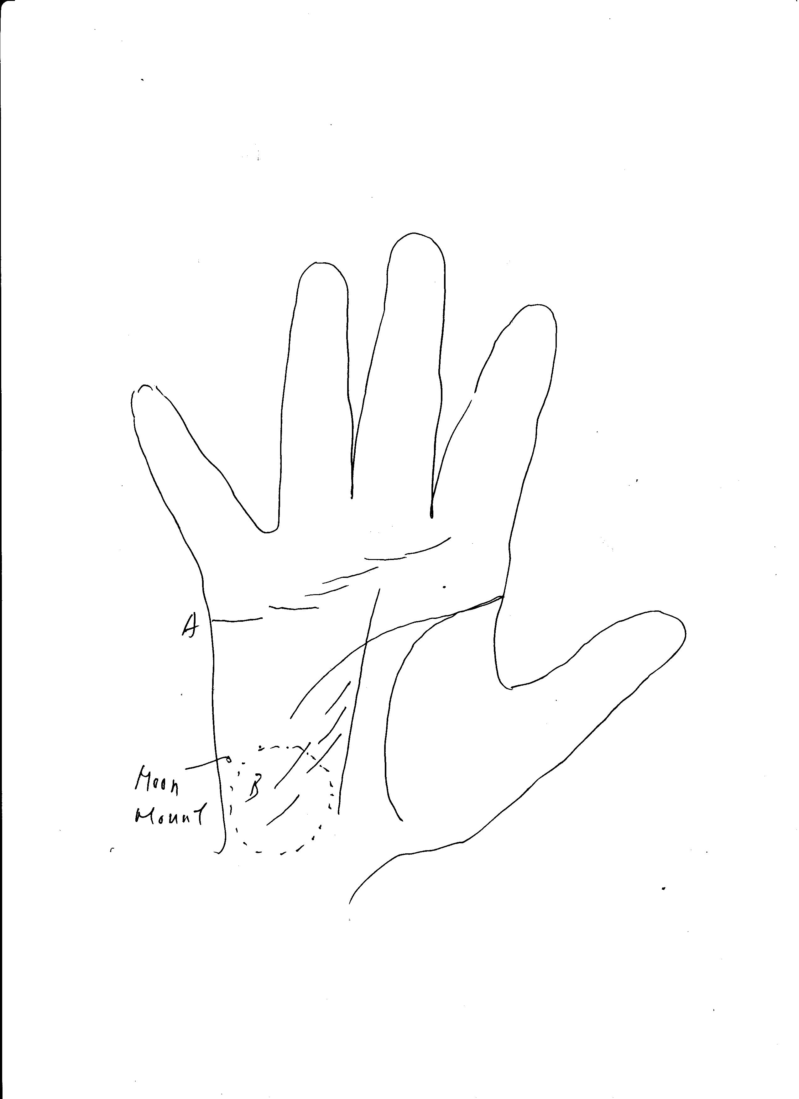 Palm Pattern that the Owner has Good Popularity and has a lot of ...