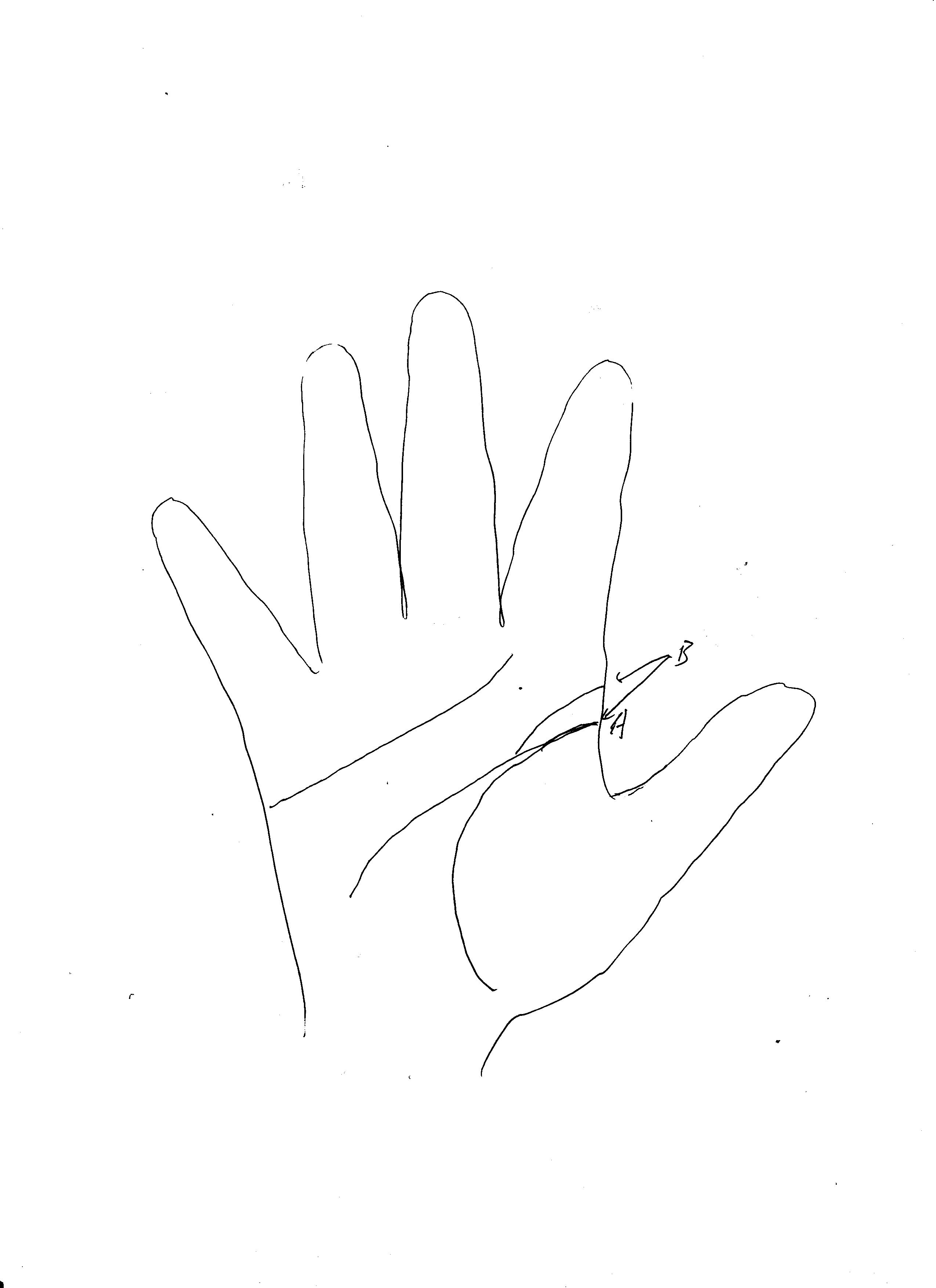 The Palm Pattern that the Heart Line enters into the Base between the ...