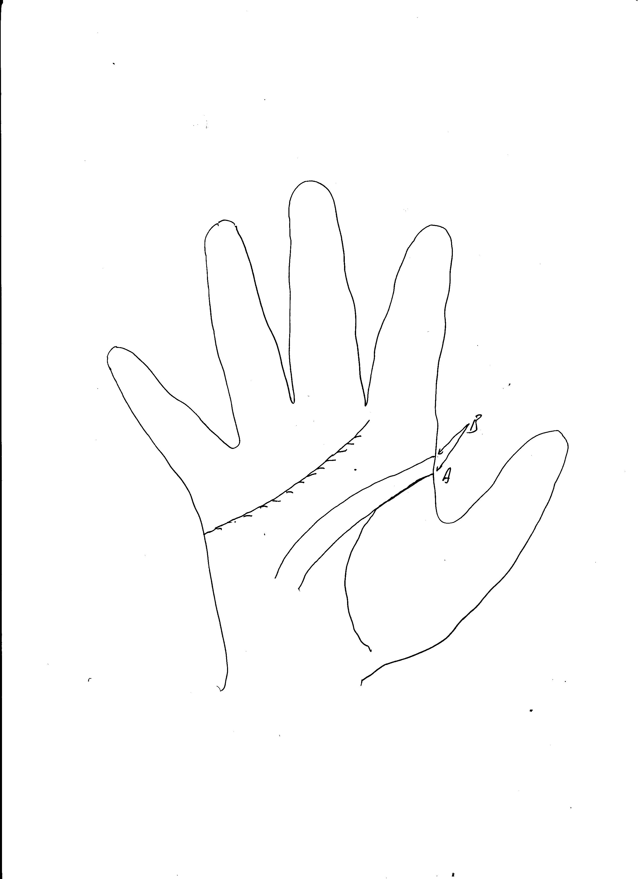 Palm Pattern that the Heart Line has many Downward Branches – Palmist's ...