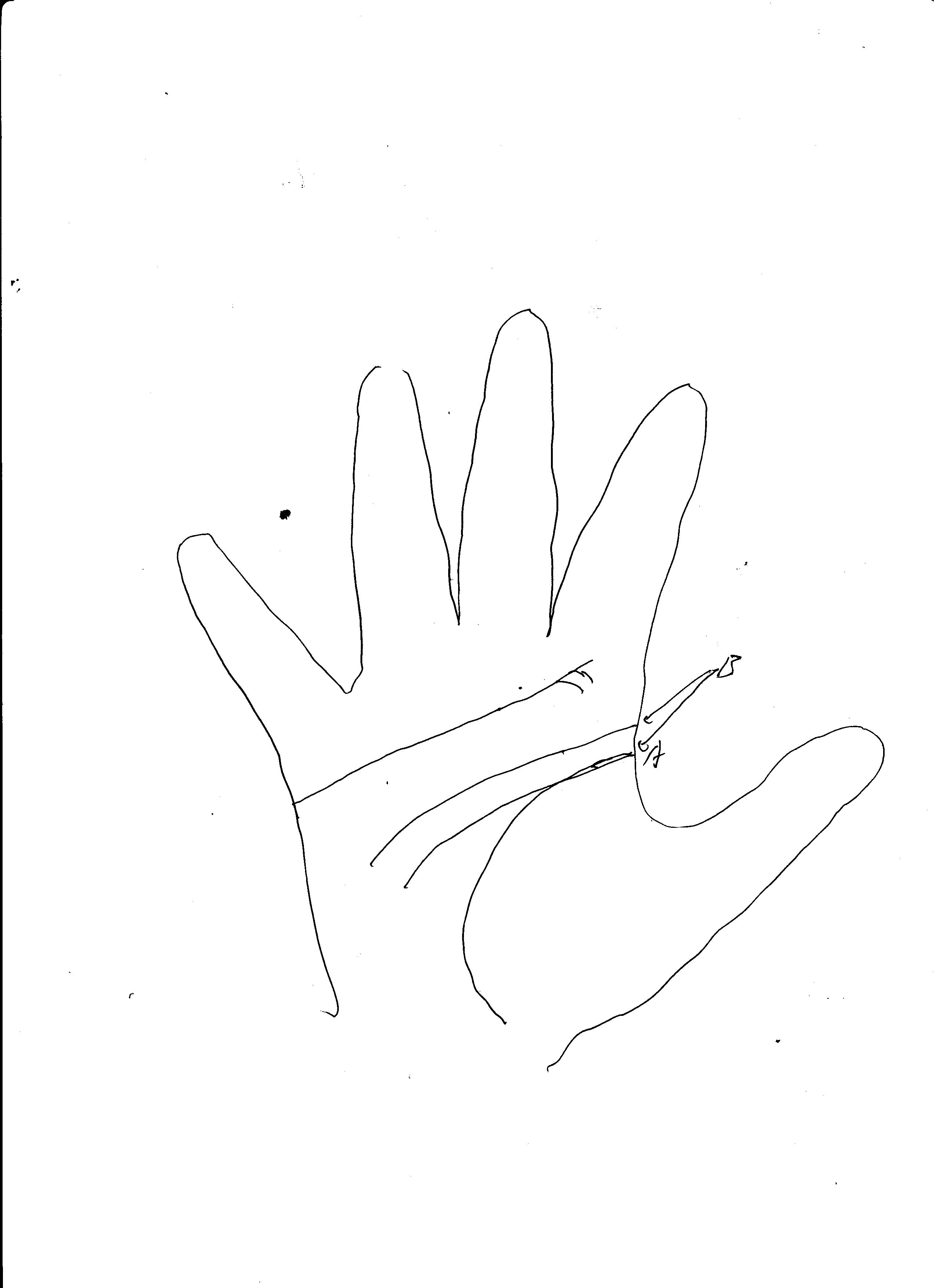 Palm Pattern that the beginning of the Heart Line has a Fork – Palmist ...