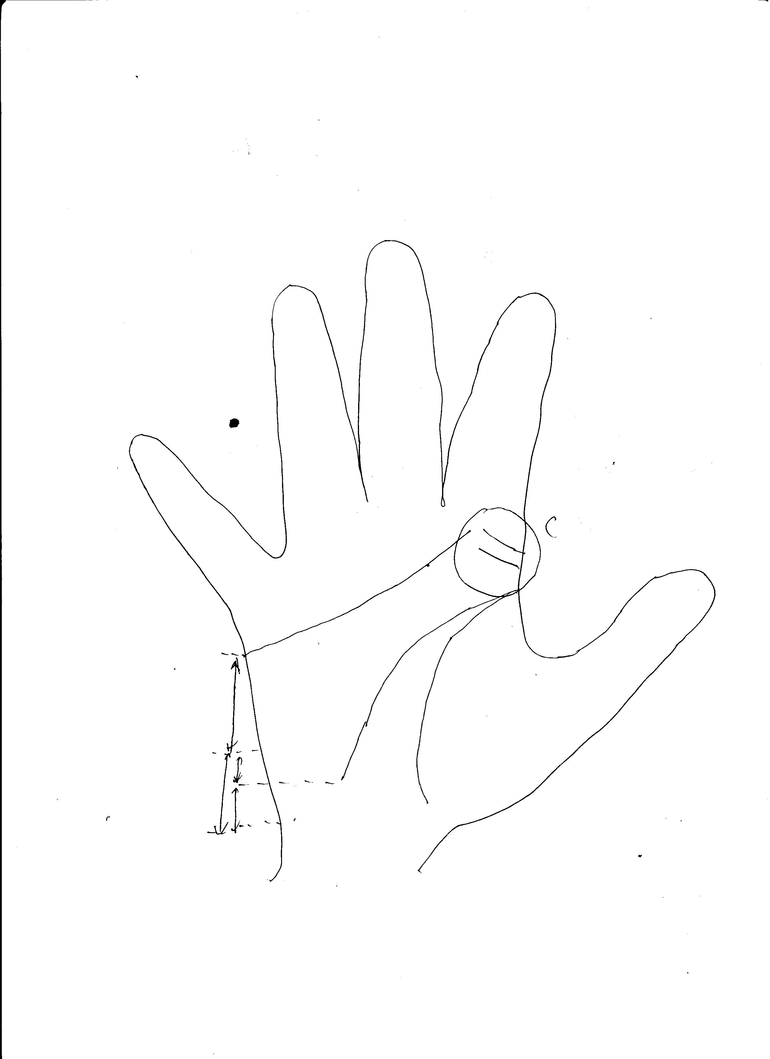 Palm Pattern that the Owner has Strong Intuition and is Romantic ...
