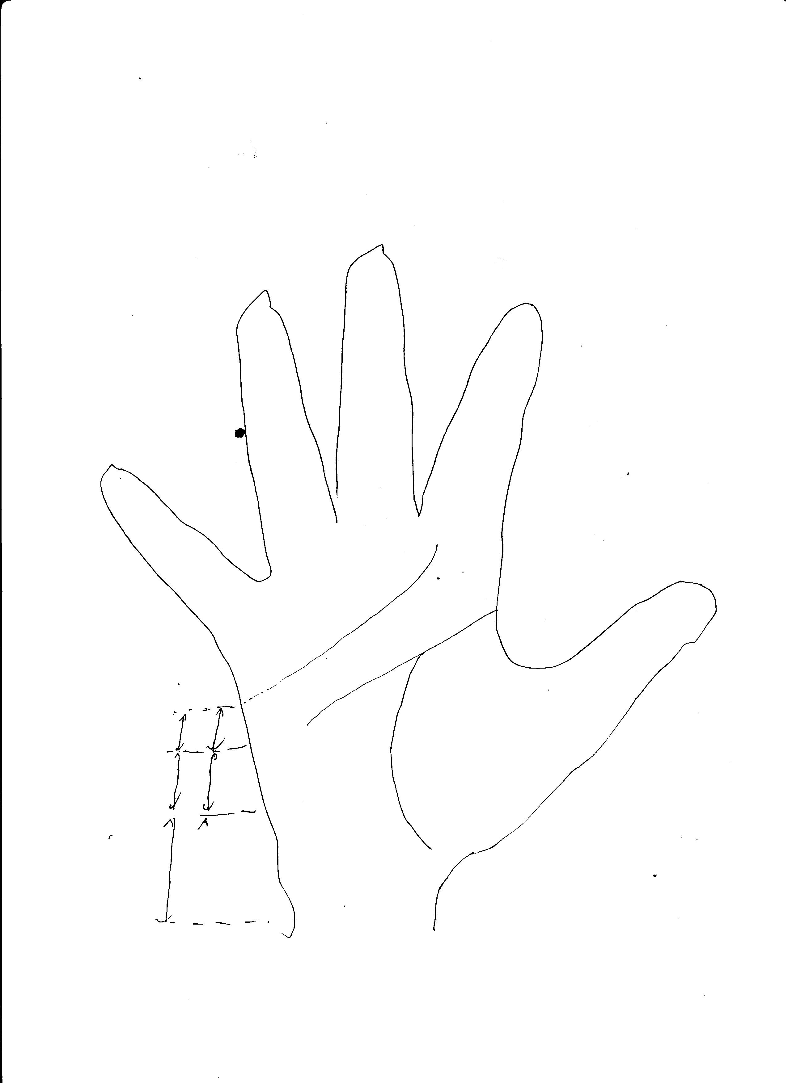 Palm Pattern that the Owner is highly adaptable and good at Observation ...